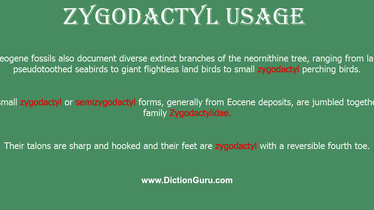 zygodactyl: How to pronounce zygodactyl with Phonetic and Examples ...