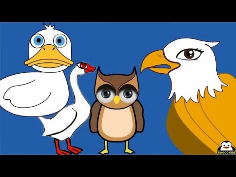 Learn About Animals & Birds With Animated Interactive Videos | Kids ...