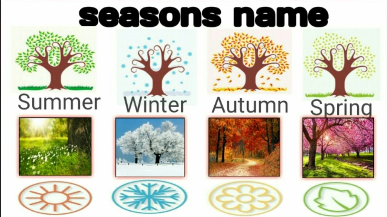 Four Seasons of the Year | #spring #summer #autumn #winter ...