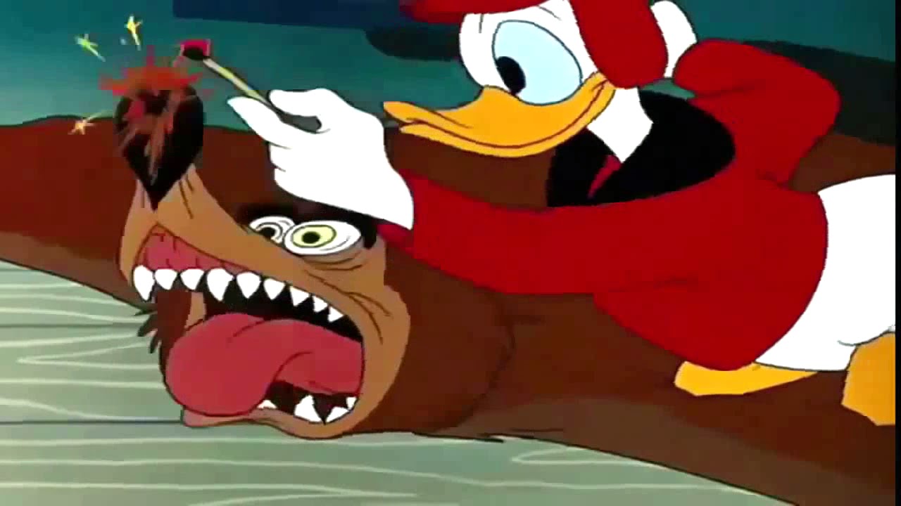 Donald Duck Rugged Bear 1953 latino - YouTube