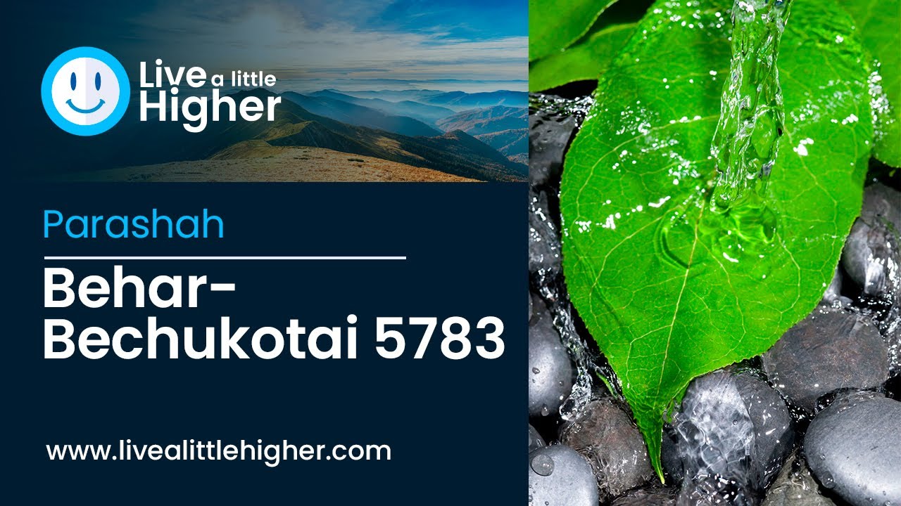 Weekly Torah Portion - Behar Bechukotai 5783 - YouTube