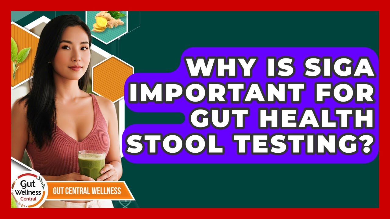 Why Is sIgA Important For Gut Health Stool Testing? - Gut Wellness ...