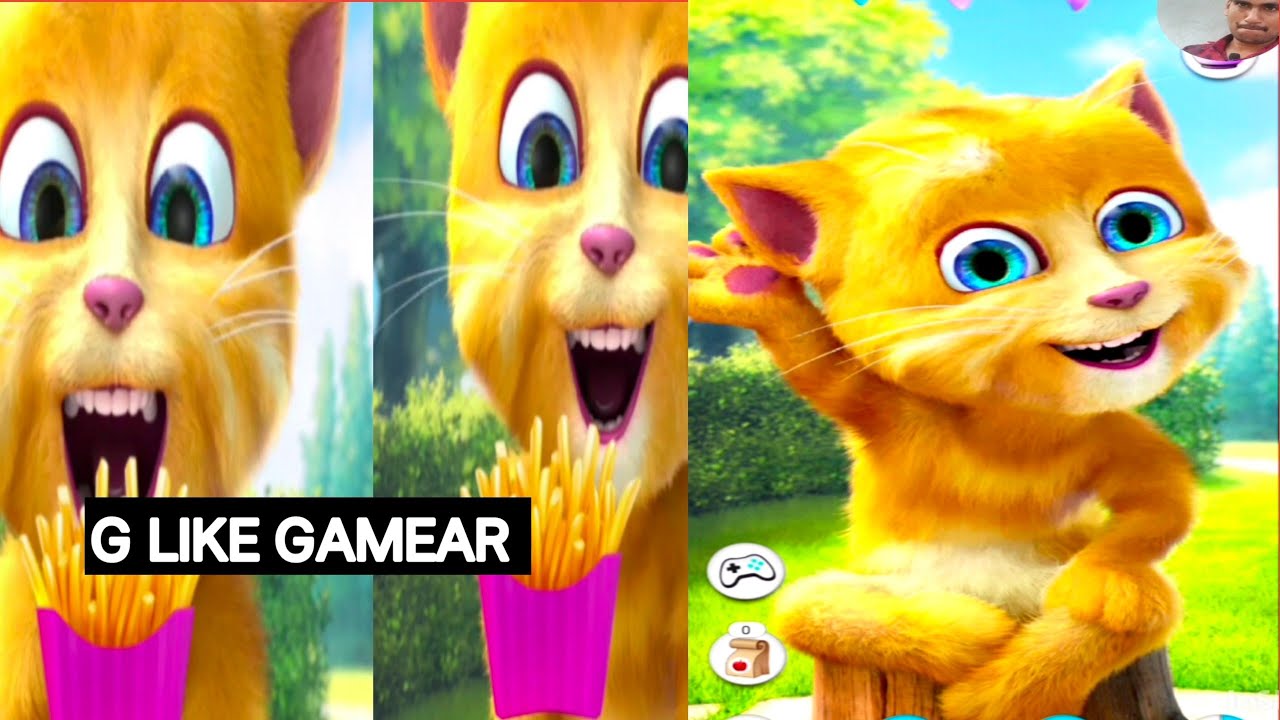 Talking Tom Ginger cat 🤣 Funny video Games - YouTube