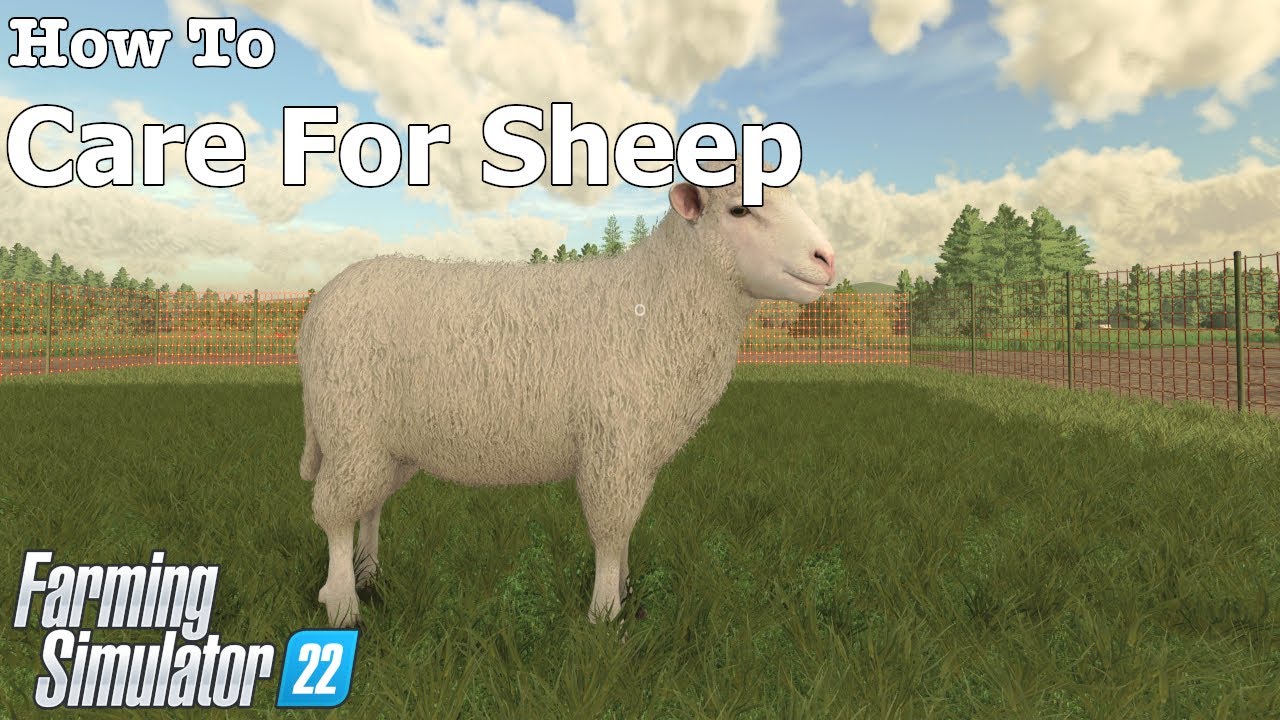 How To | Care For Sheep | Farming Simulator 22 - YouTube