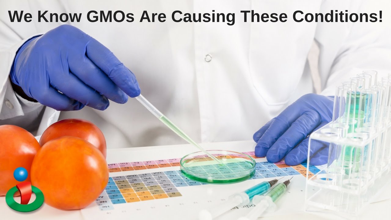We Know GMOs Are Already Causing These Health Conditions! - YouTube