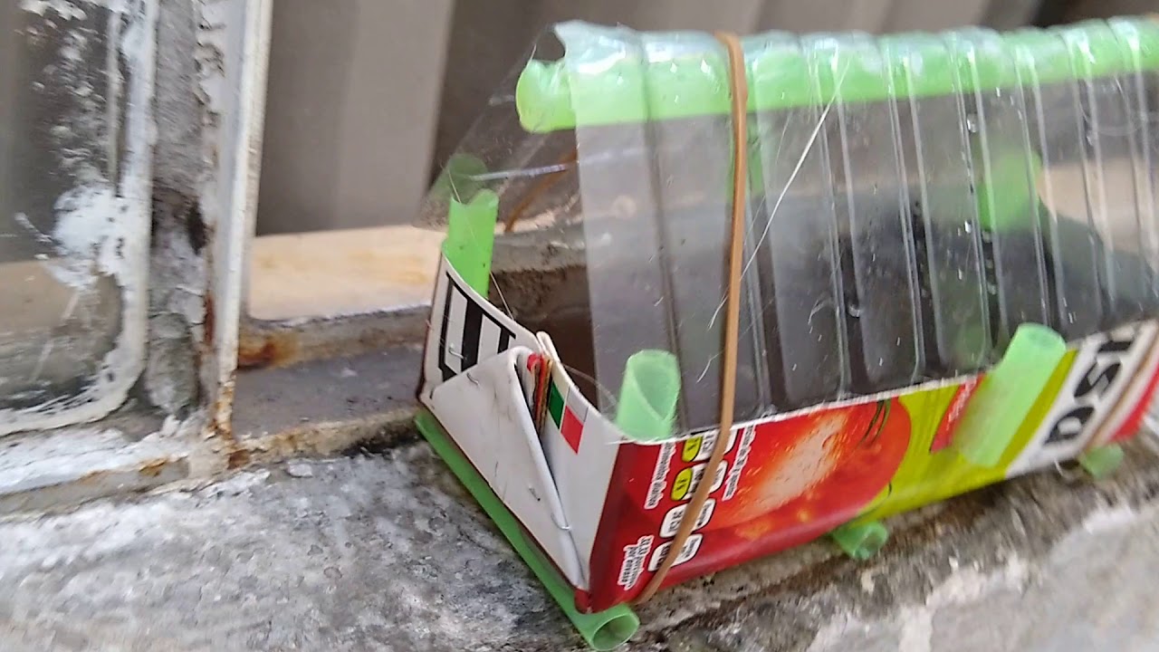 Cómo hacer un mini invernadero casero - YouTube
