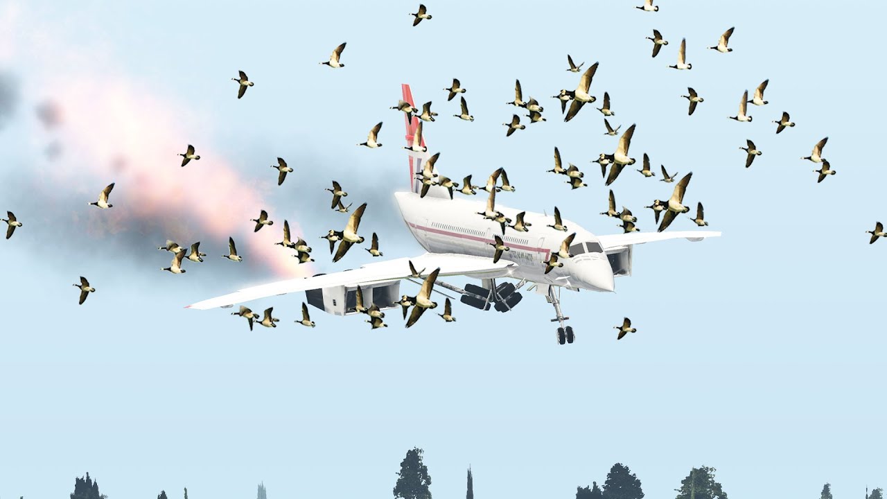 Supersonic Concorde Hit Birds When Landings | Xplane11 - YouTube