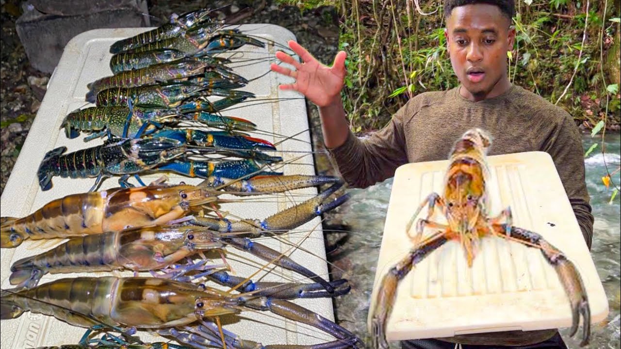 How To Catch, Clean & Cook Giant Crayfish - YouTube