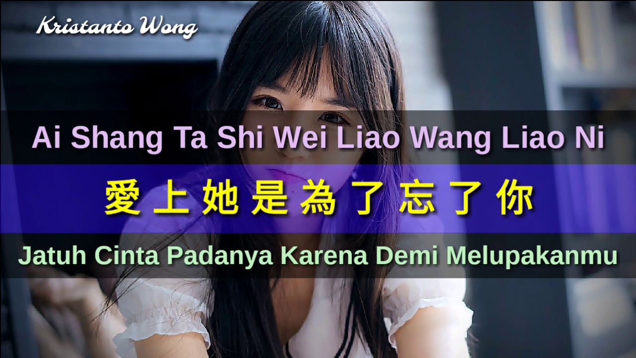 Ai Shang Ta Shi Wei Liao Wang Liao Ni - 爱上他是为了忘了你 - 雷婷 Lei Ting - YouTube