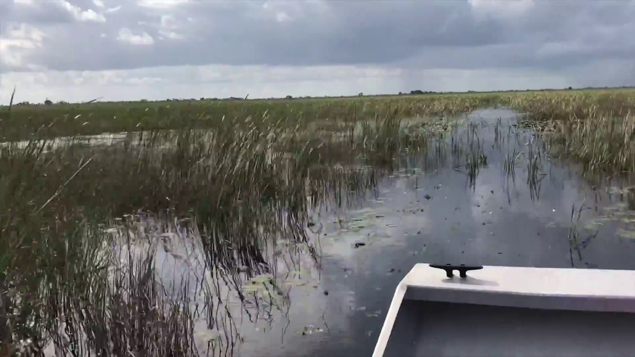 Everglades Airboat ride - Miami Florida - YouTube
