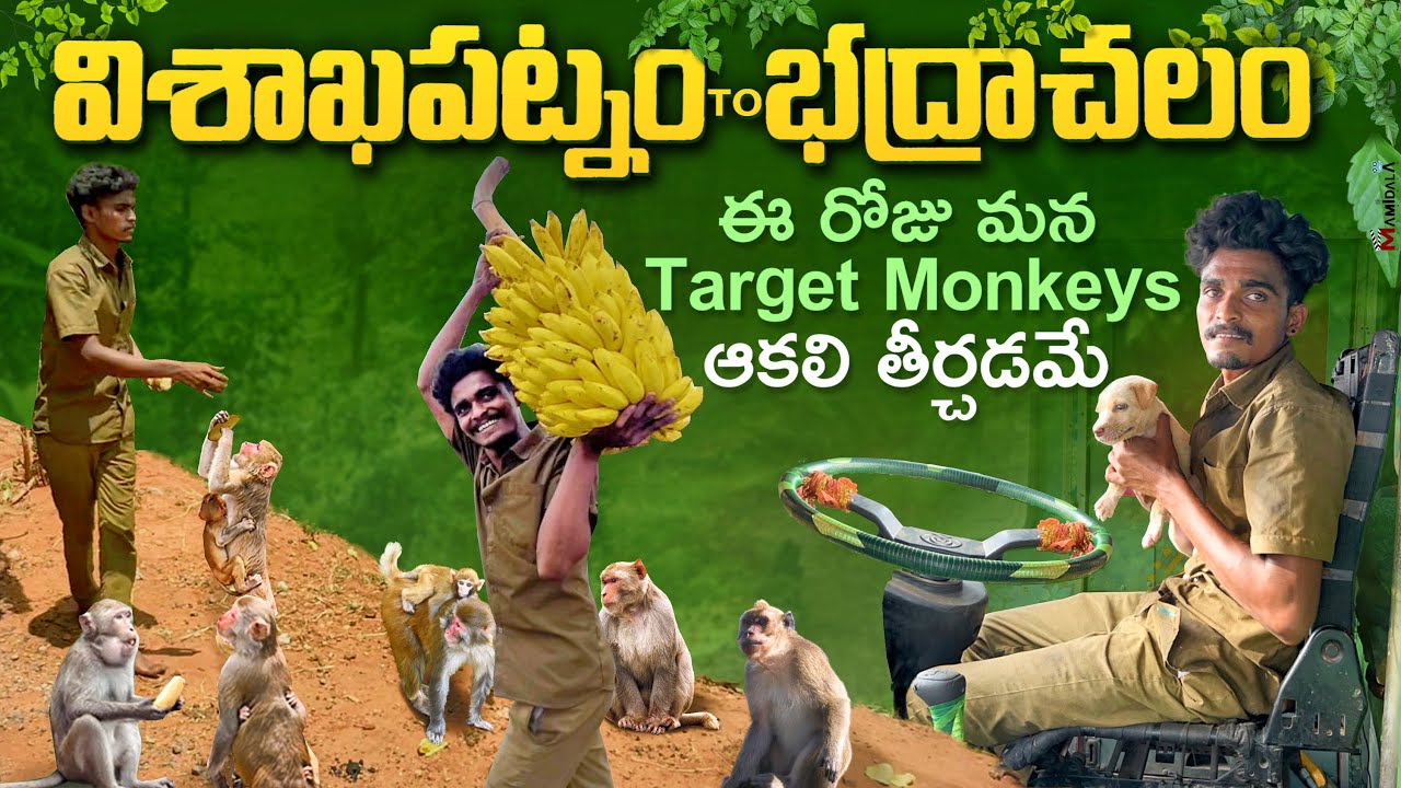 Monkeys ఆకలి తీర్చడమే మన target విశాఖపట్నం TO భద్రాచలం manatruckvlogs ...