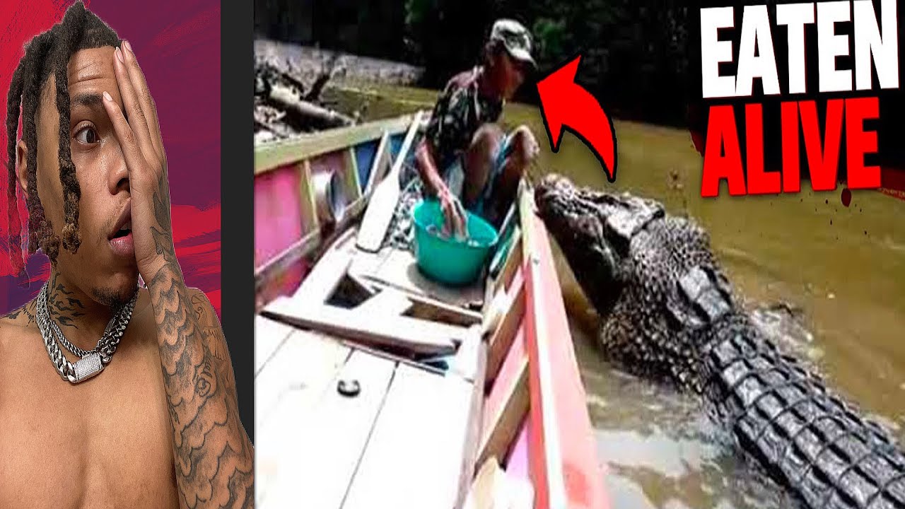 What happened to the man during the Crocodile attack? - YouTube