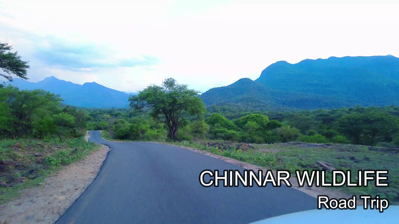 CHINNAR ROAD TRIP | CHINNAR WILDLIFE | ANAMALAI TIGER RESERVE | 4K ...