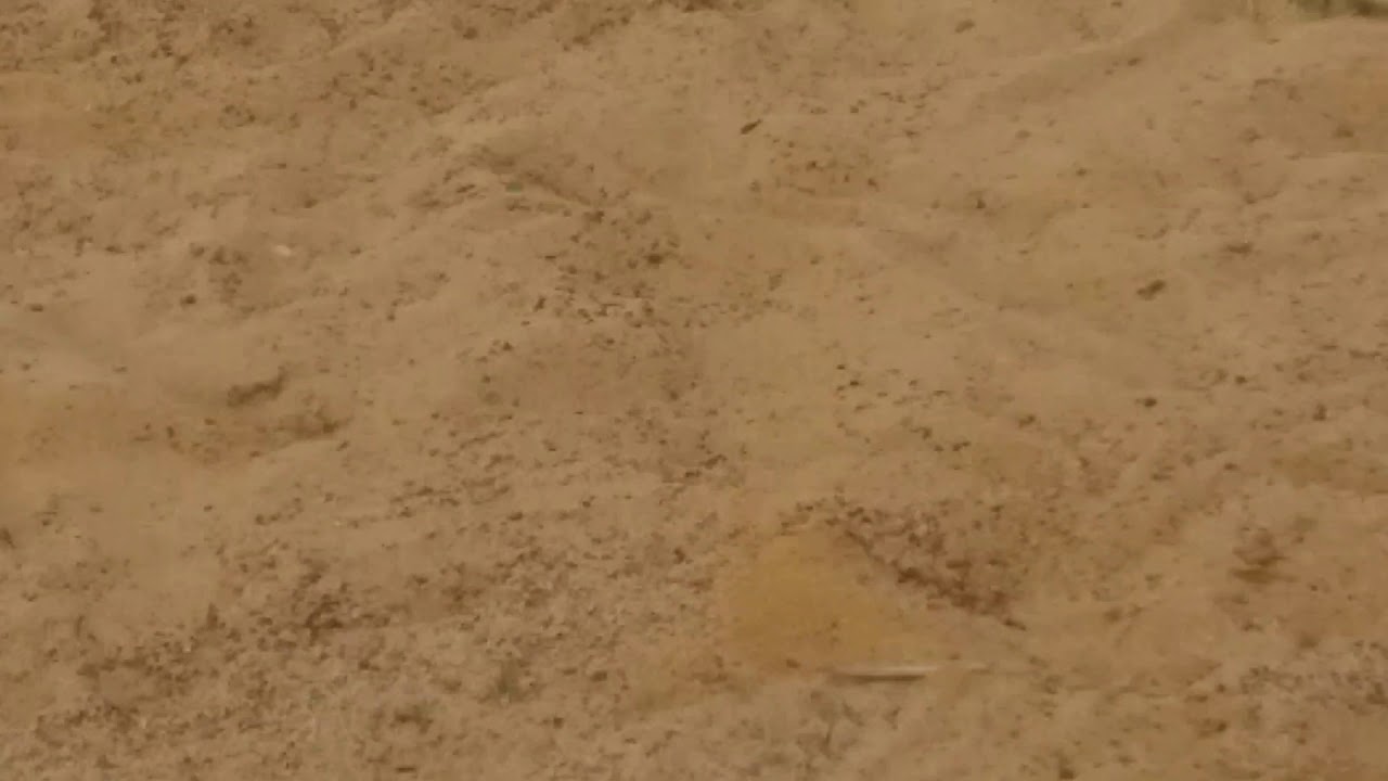 Jericho Dam - YouTube