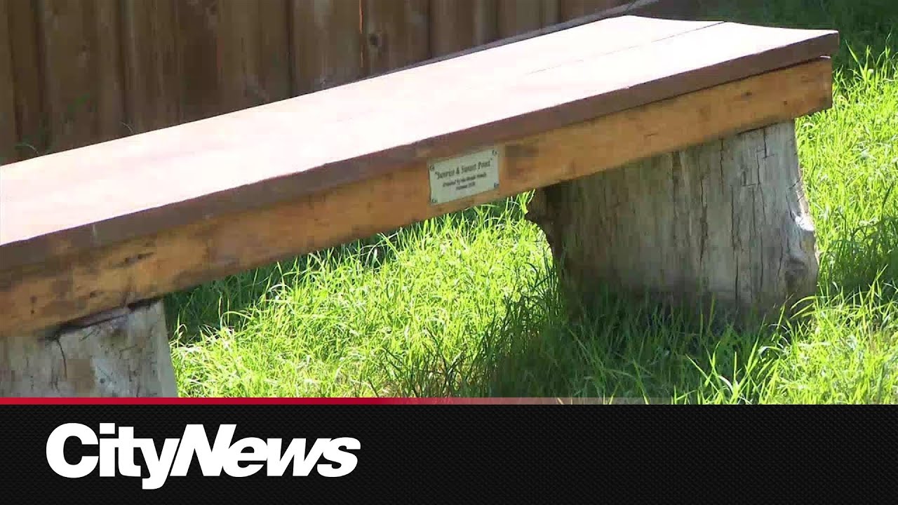 Community ‘frustrated’ after removal of benches, crossing bridge from ...