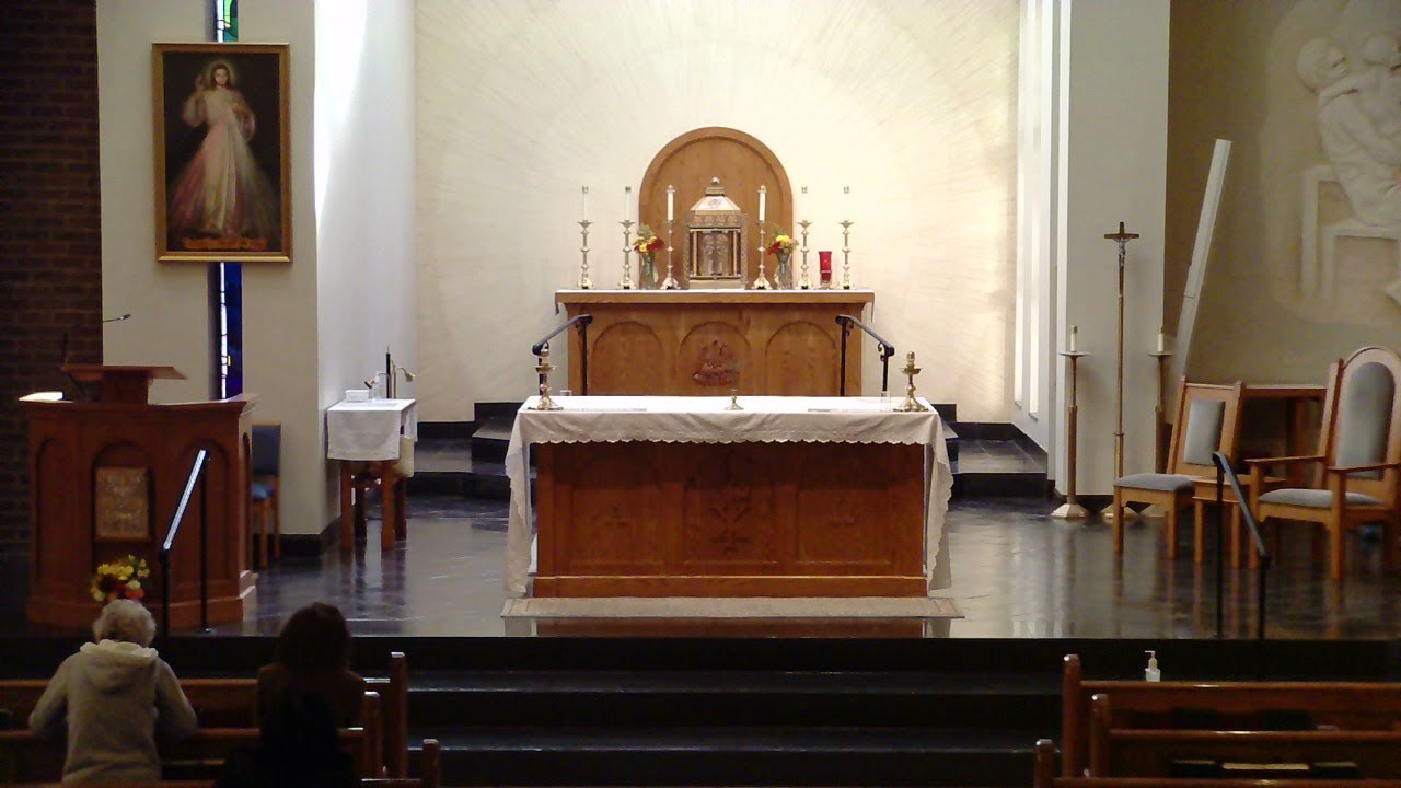 Morning of Reflection for Women with Msgr. Charles Pope | November 20 ...