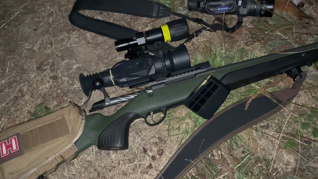 Quick evenings Rabbit and Fox shooting - YouTube