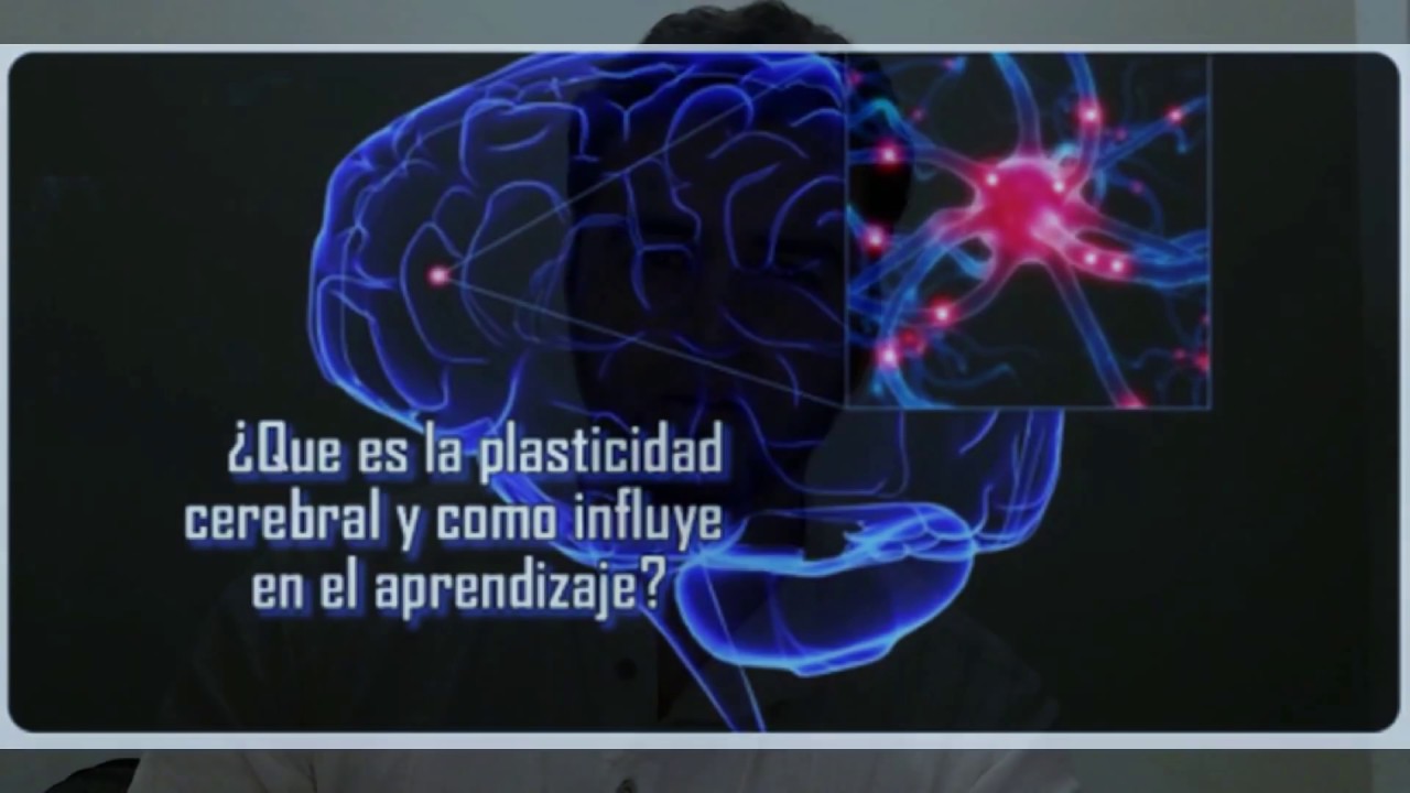 ¿Qué es la plasticidad cerebral y cómo influye en el aprendizaje ...