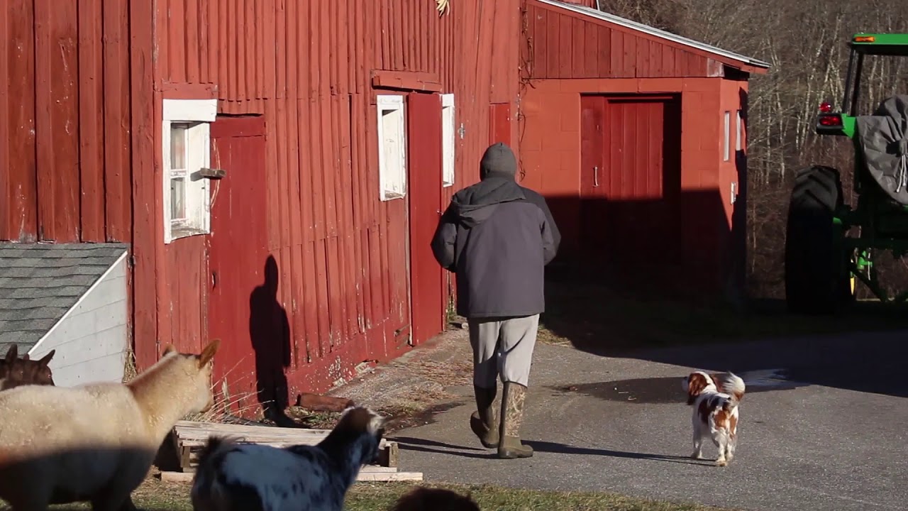 A Trip to KC Farms - YouTube