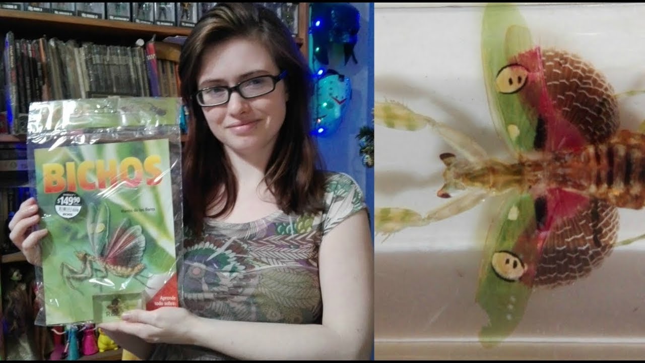 Unboxing Flower Mantis from Real-life Bugs & Insects Collection from ...