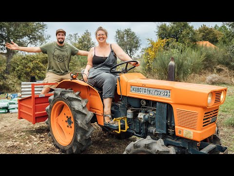 WAS THIS WORTH IT?! Our Abandoned Farm Project