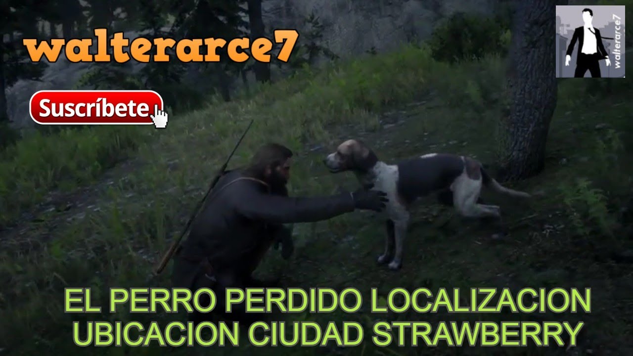 EL PERRO PERDIDO LOCALIZACION UBICACION CIUDAD STRAWBERRY Red Dead ...