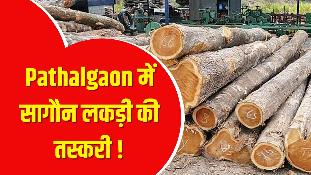 Pathalgaon में सागौन लकड़ी की तस्करी | Pathalgaon | India News CG - YouTube