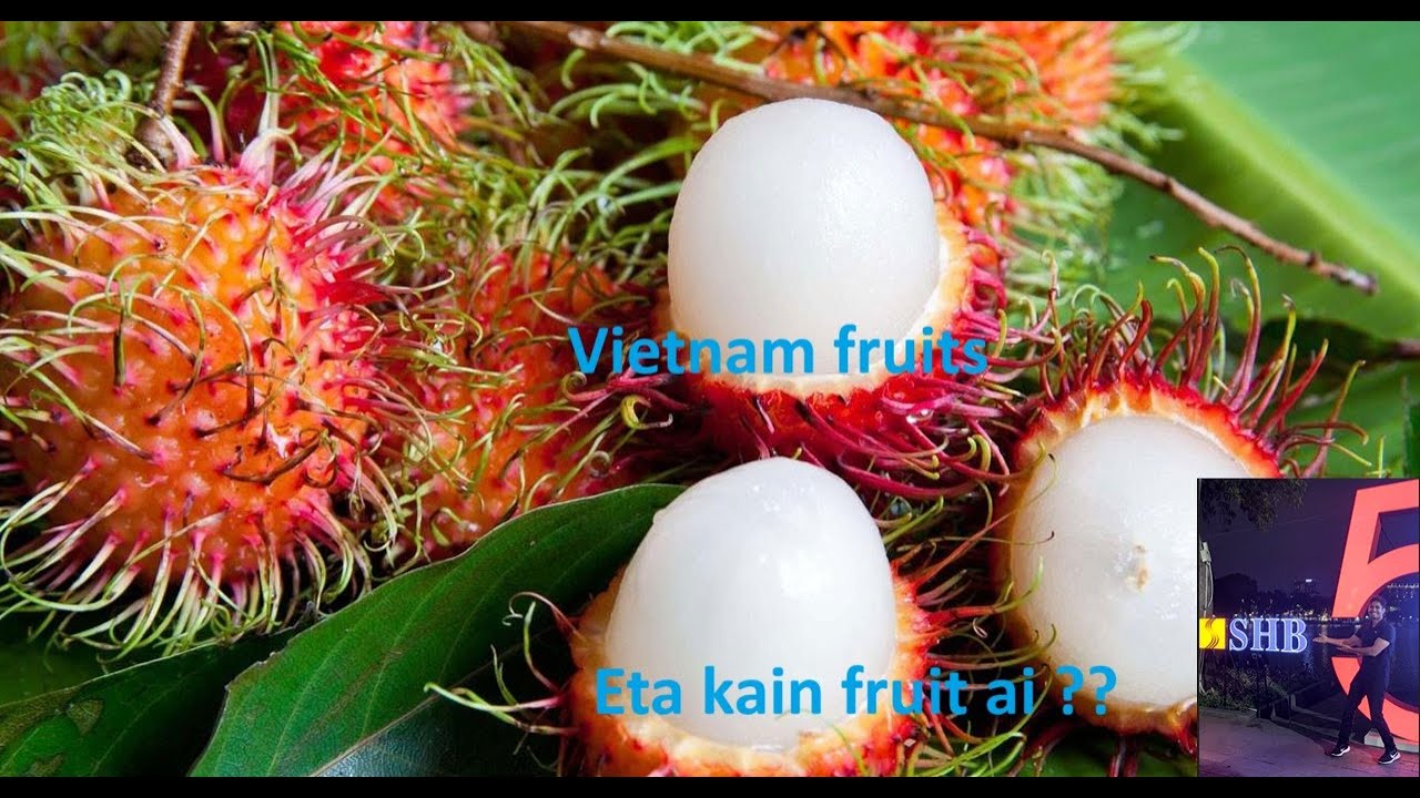 Eta kain fruit ai ? Vietnam fruits - YouTube