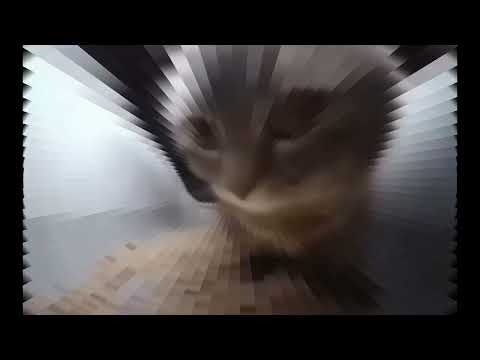 Chipi chipi chapa chapa cat effects 63 Extended - YouTube