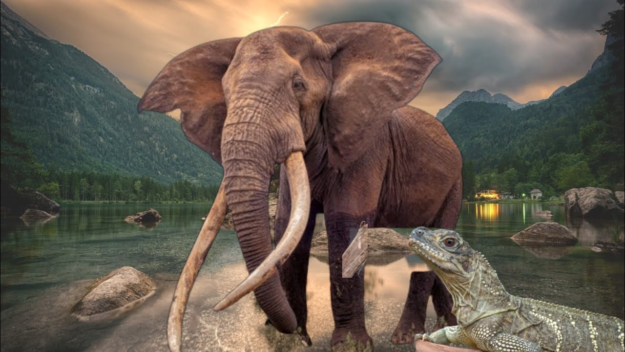 Amazon Rainforest Wildlife Documentary | 4K Video Nature Relaxing Music ...