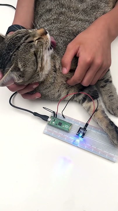 Raspberry pi pico project 02#coding - YouTube