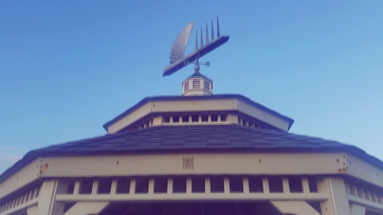 the life of tamucc beach - YouTube