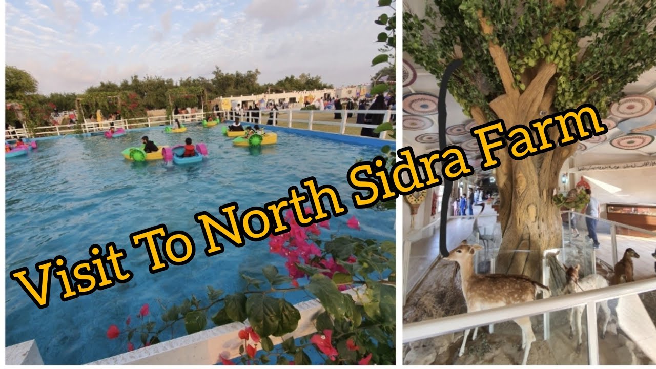 wonderful visit to North sidra farm, Qatar, vlog 3 - YouTube