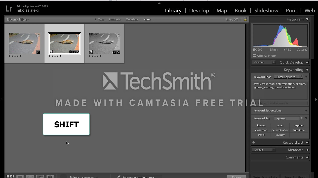 Lightroom tagging - YouTube