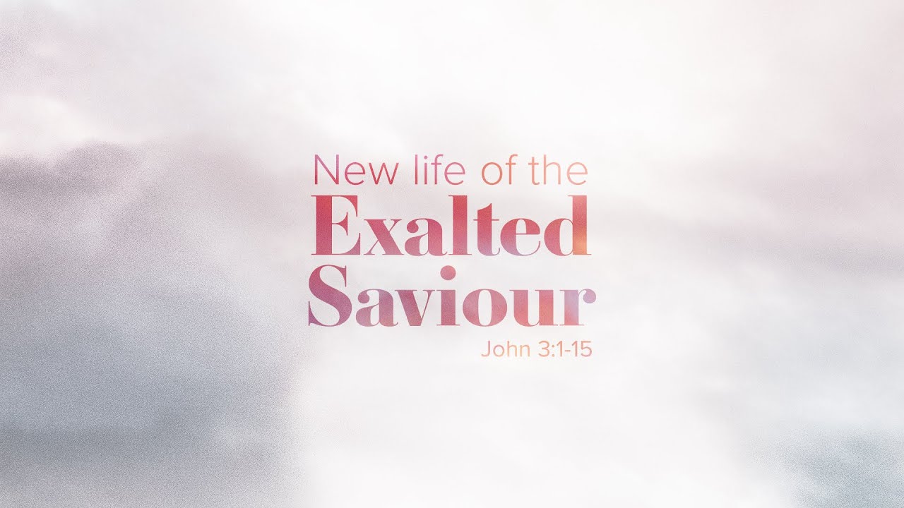 John 3 1 15 New Life Of The Exalted Saviour YouTube John 3 1 15 New Life Of The Exalted Saviour YouTube