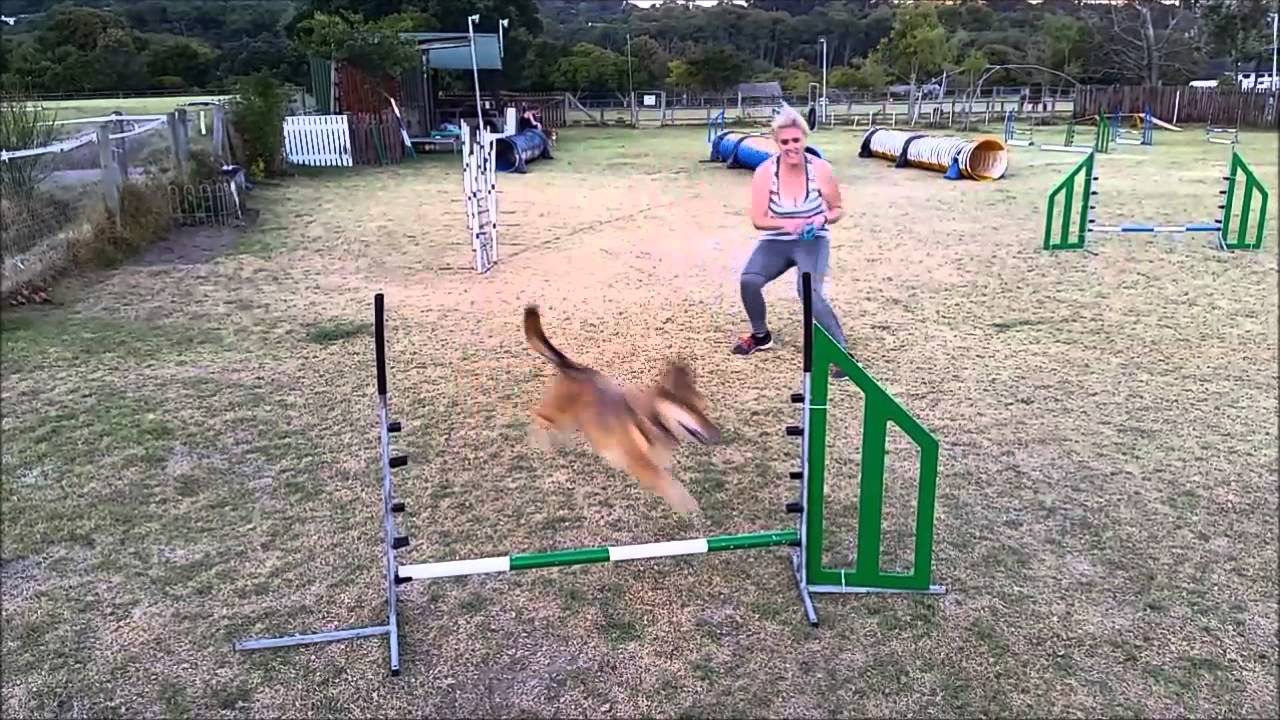 Nala Training 23-02-2016 - YouTube