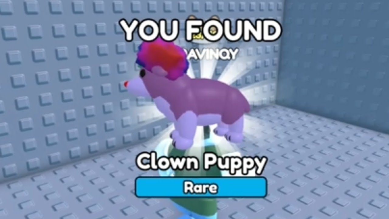 Find the Puppies - Where to Find the Clown Puppy (Roblox) - YouTube