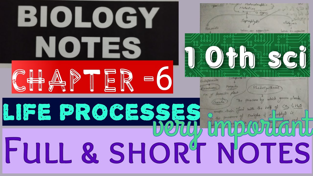 chapter -6 || Life process notes for all borad | class 10th || biology ...
