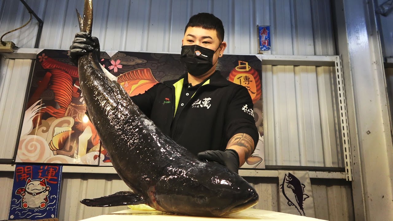 Ultimate Cobia Adventure! 🎣 Exquisite Catch & Sashimi Mastery with ...