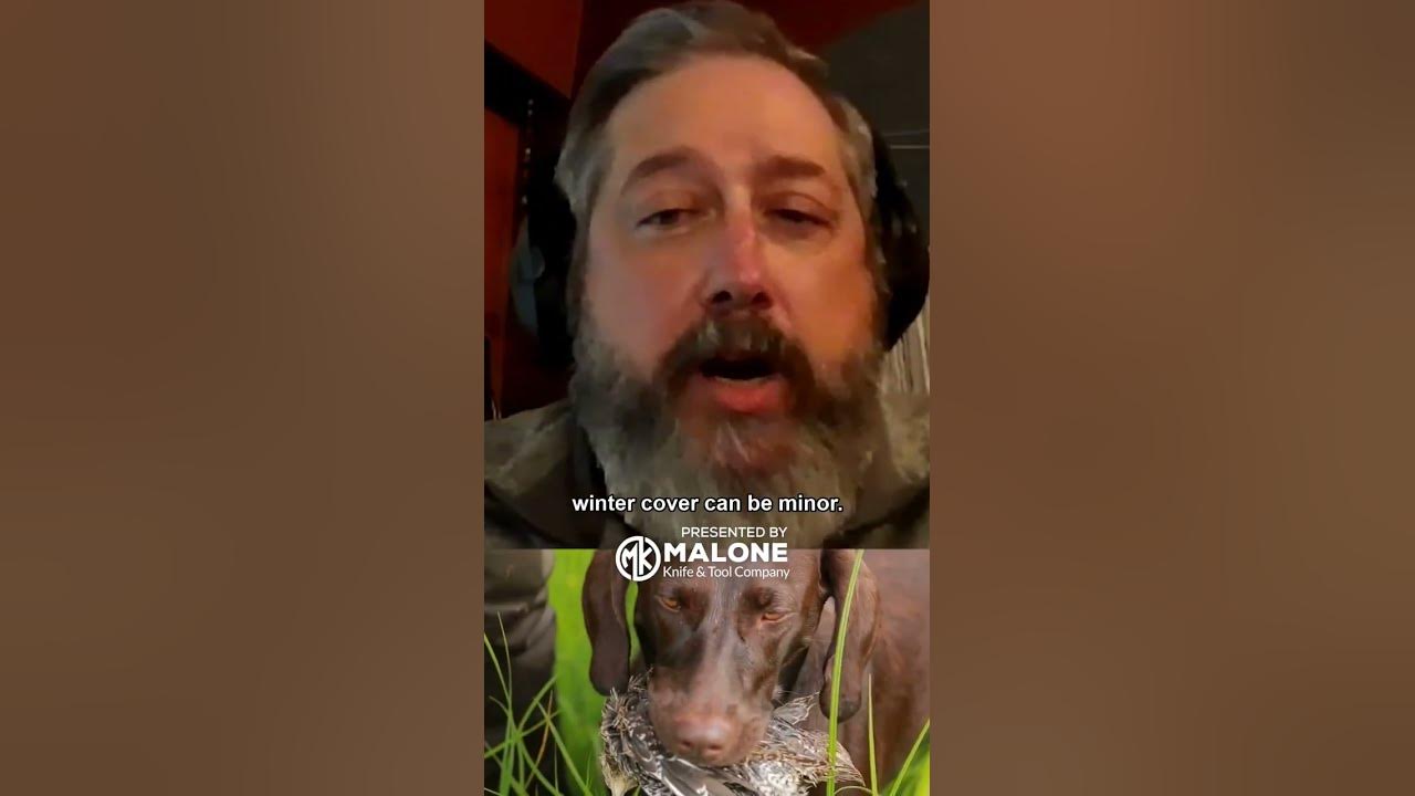 Migrating Birds Suffering Due To Habitat Loss podcast hunting migrating-birds-suffering-due-to-habitat-loss-podcast-hunting