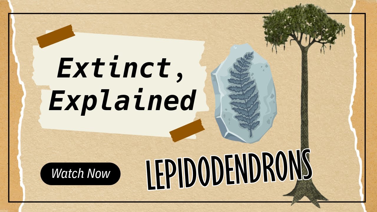 Extinct, Explained: Lepidodendrons || BEFORE WE HAD TREES || - YouTube