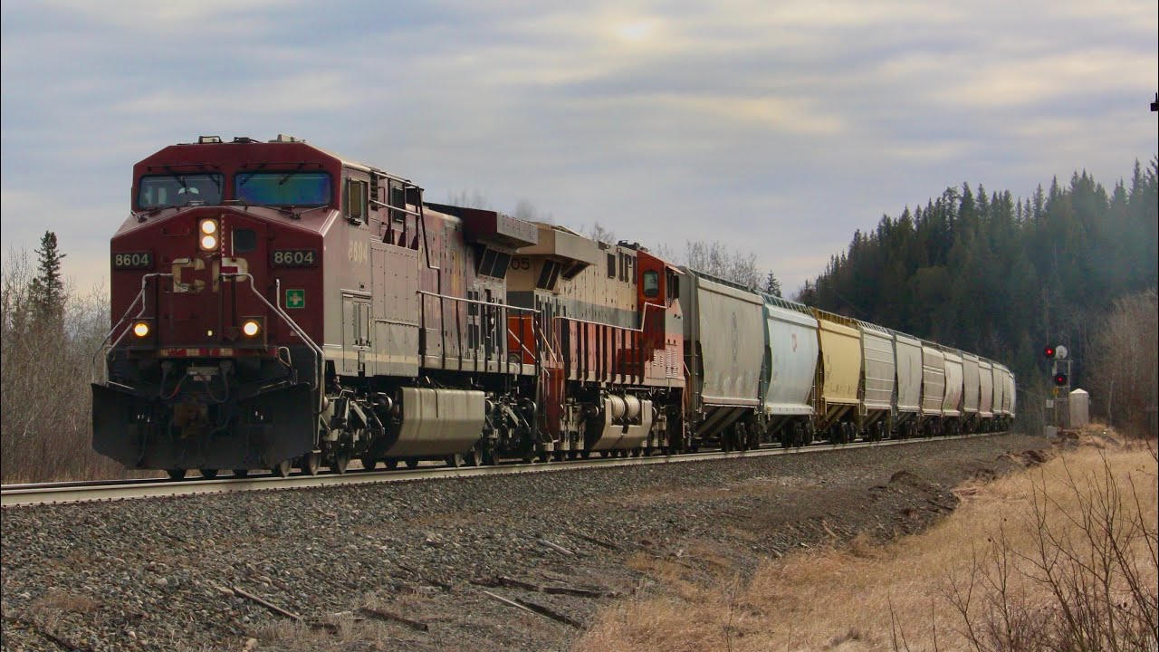 RARE!!! NS 8105 Interstate Heritage Unit (Yet Again)!!! CP 8604, NS 8105 & CP 8846 West at ...