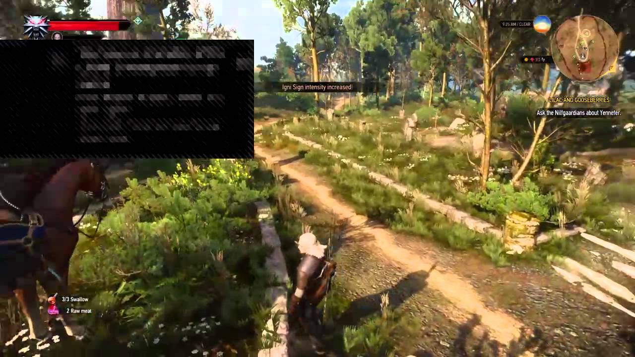 Witcher 3 - New Game + - Blood and Bones - YouTube