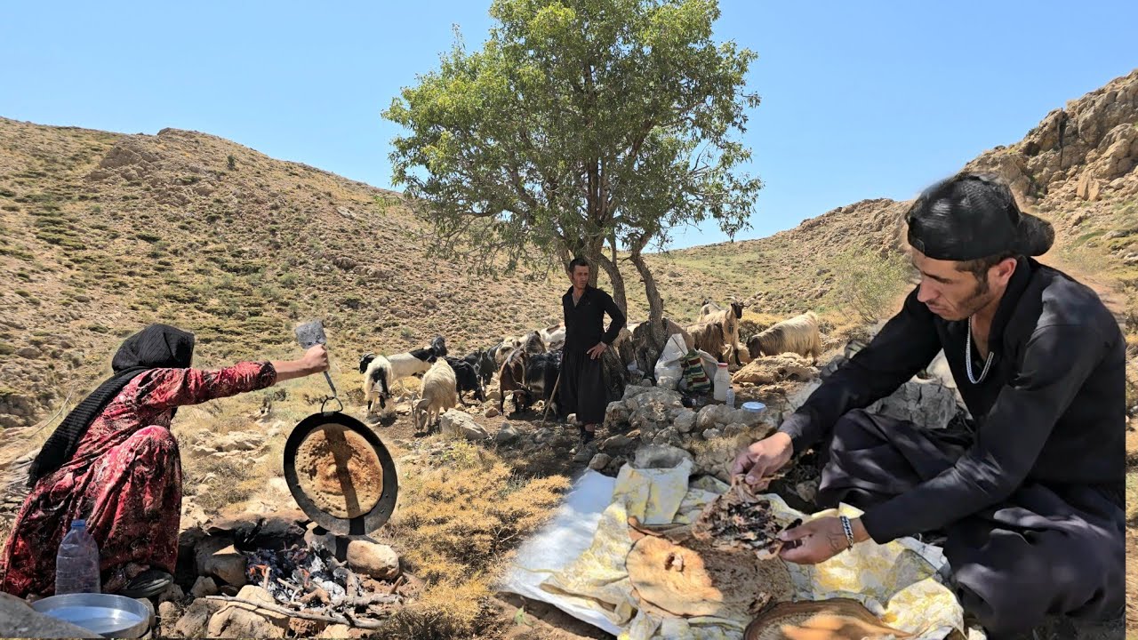 Nomadic life in the pristine nature of Iran | Travel, herding and ...