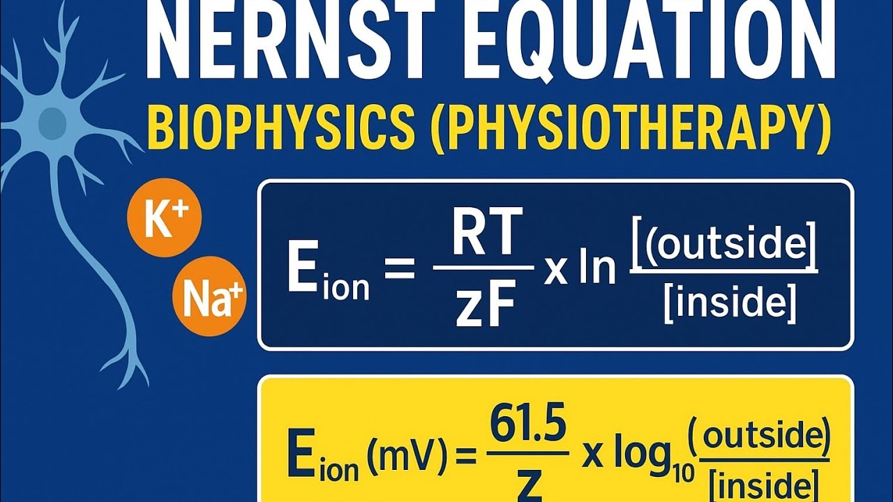 Nernst Equation | Simple Explanation for BPT | Biophysics Lecture - YouTube
