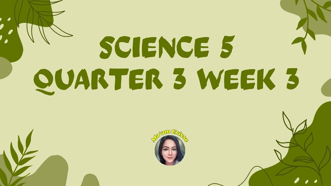 SCIENCE 5 QUARTER 3 WEEK 3 Interaction of Light on Different Materials ...
