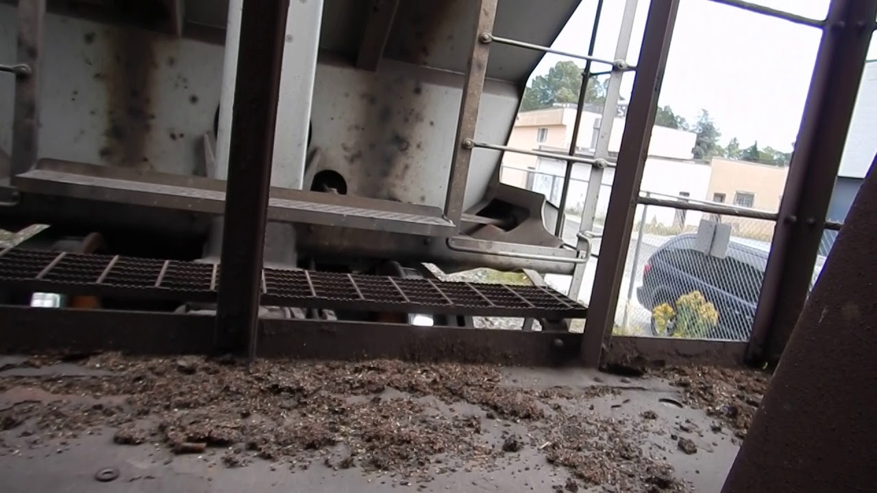 Little taste of what to expect in the hopper hole (Freight hopping ...