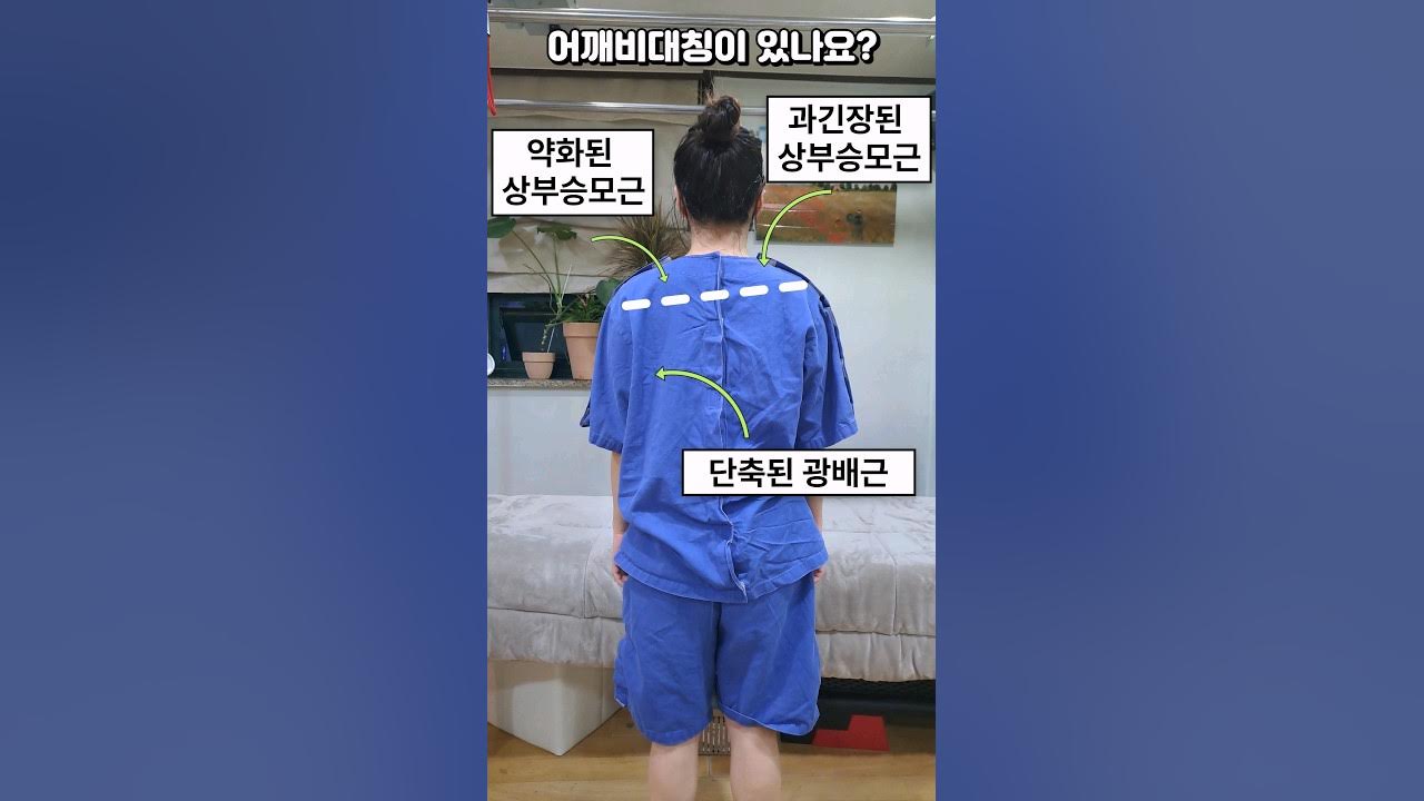 어깨비대칭 교정운동 한쪽 어깨가 유난히 내려가 있거나 올라갔다면 꼭 해주세요 어깨비대칭교정운동 광배근스트레칭 Youtube