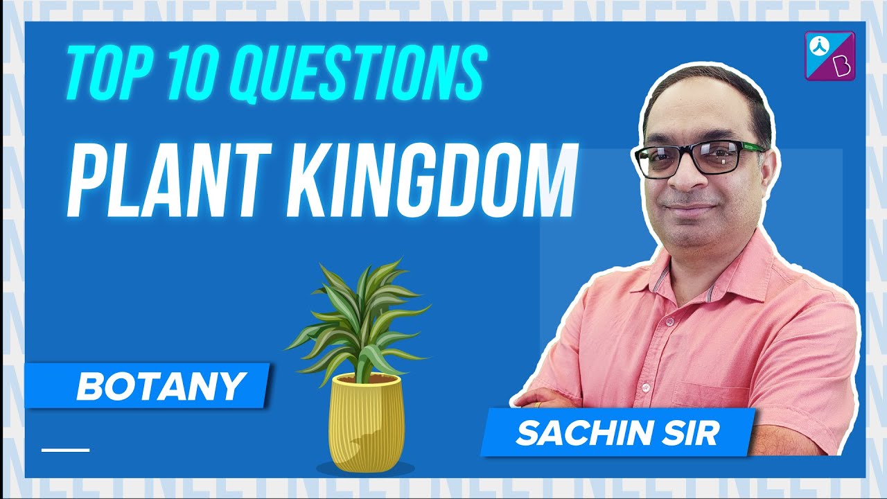 10 Important Questions From Plant Kingdom Class 11 Biology Botany 10-important-questions-from-plant-kingdom-class-11-biology-botany