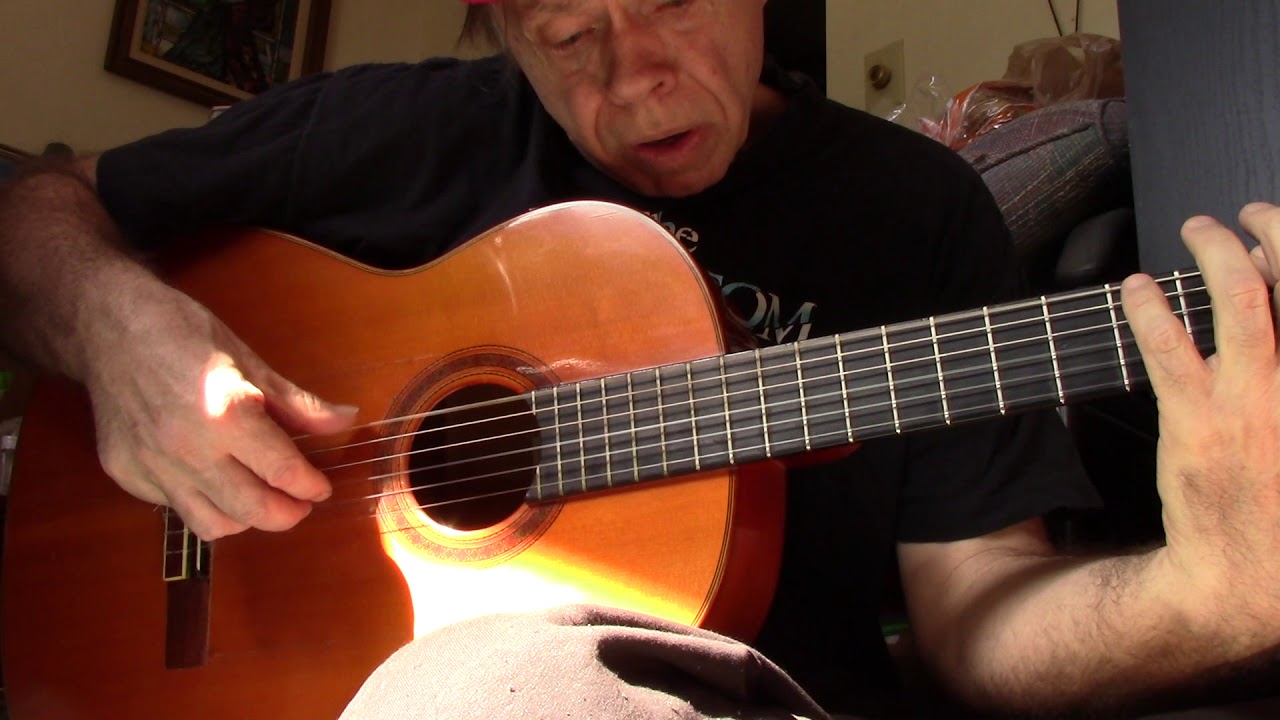 Bernardo Rico Flamenco Guitar Paints Intimate Portrait of M Ponce's ...